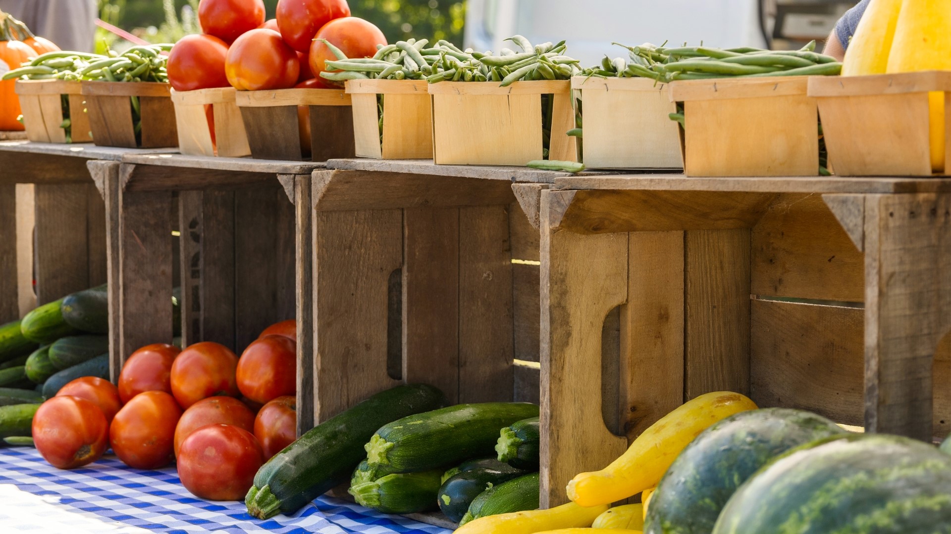 The Granary at Draper Farm Homesites in Milton, DE | DRB Homes