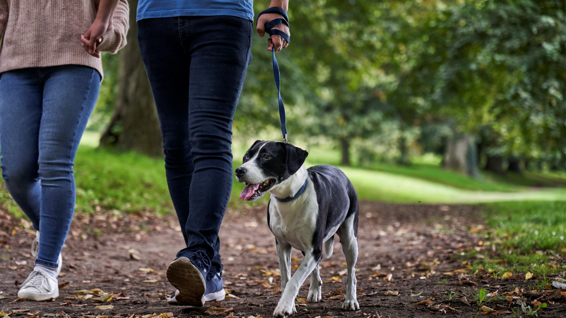 Milton, DE New Homes for Sale | The Granary at Draper Farm | DRB Homes