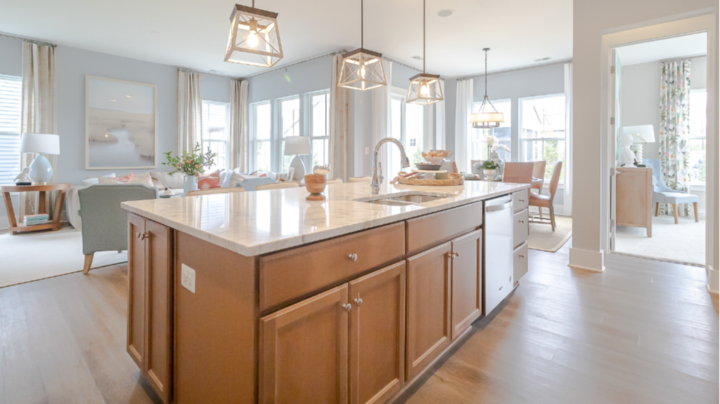 The Curator | New Home Plan | DRB Elevate