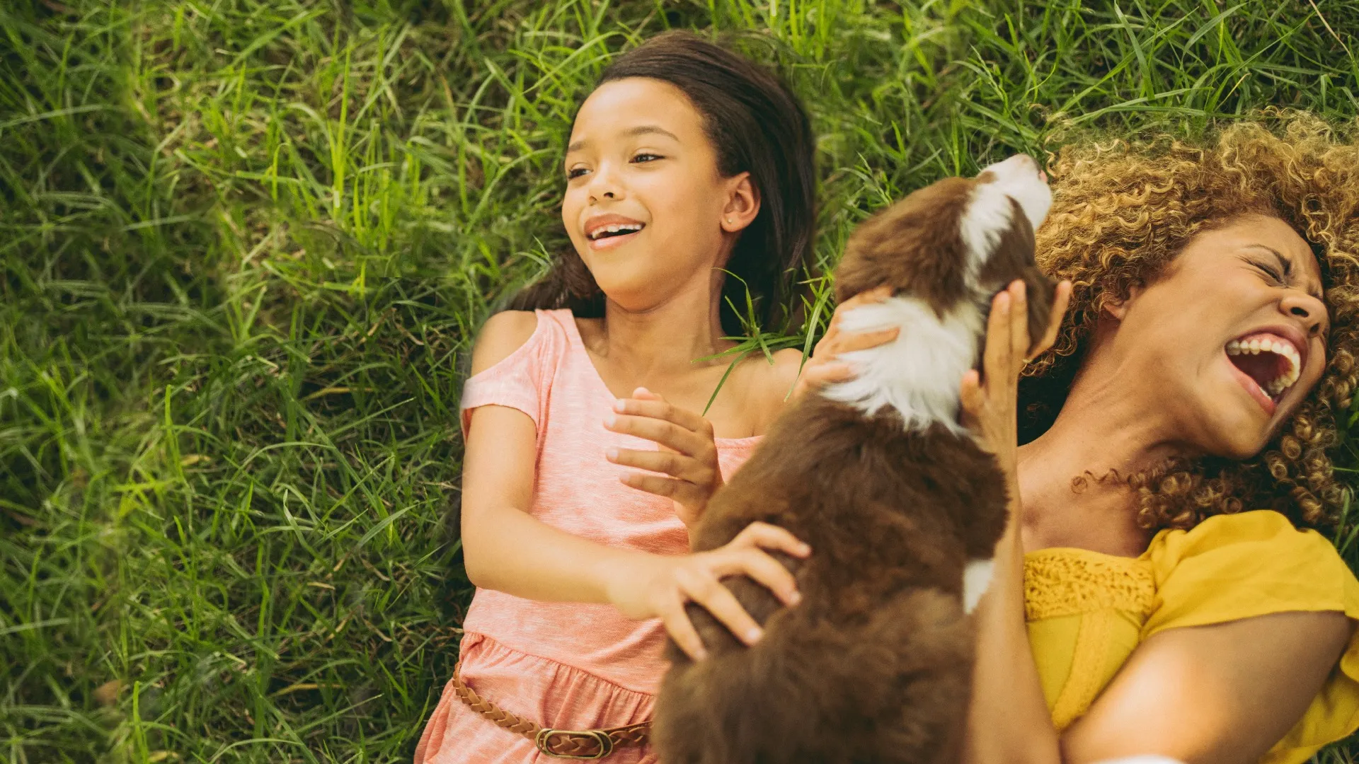 Greenleigh | Single Family Homes in Baltimore County, MD | DRB Homes